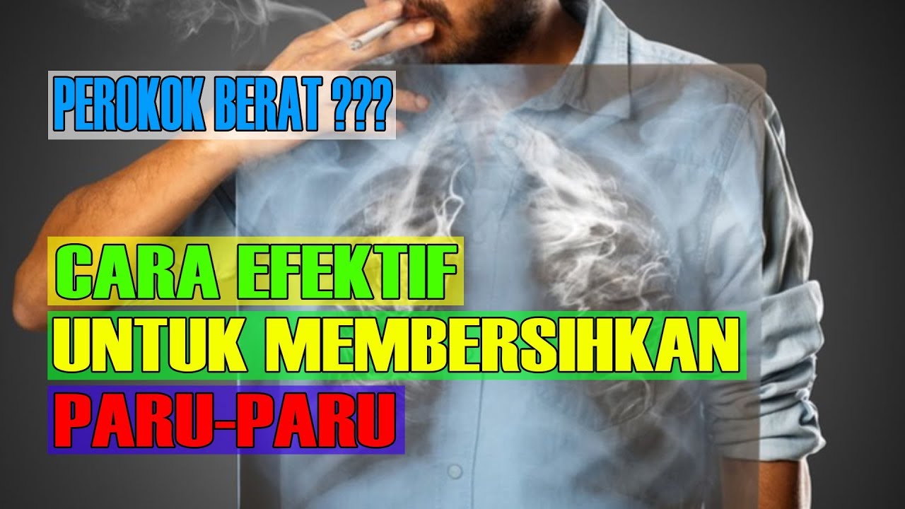 KAMU PEROKOK BERAT? 5 CARA EFEKTIF MEMBERSIHKAN PARU-PARU - YouTube