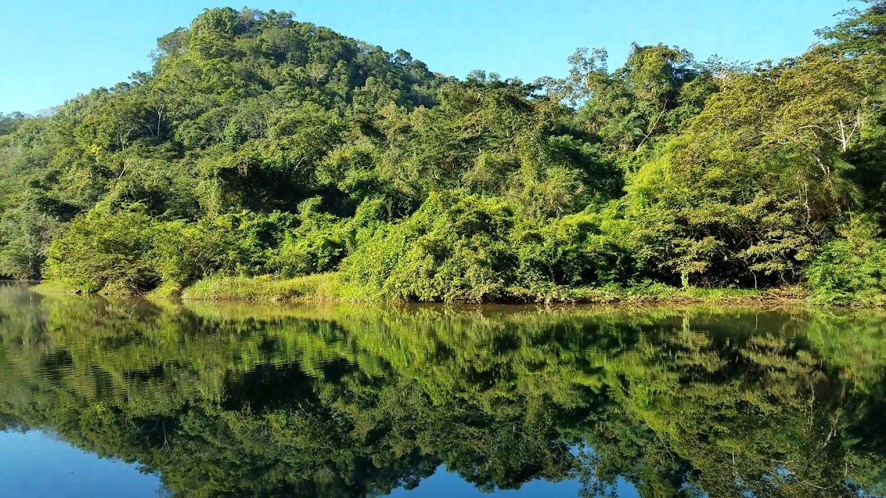 Macal River Belize, Dec 2018 - YouTube