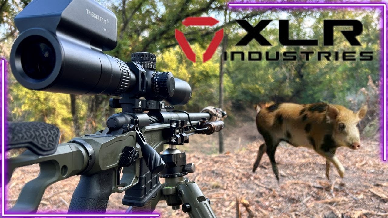 Hog Hunting with XLR build - YouTube