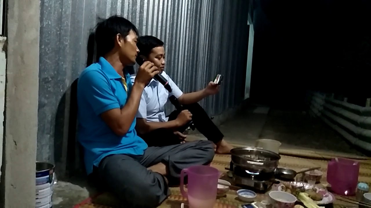 Bán Chim lele giống Con nhỏ và lớn ai có nhu cầu sdt 01697022152 gặp a ...