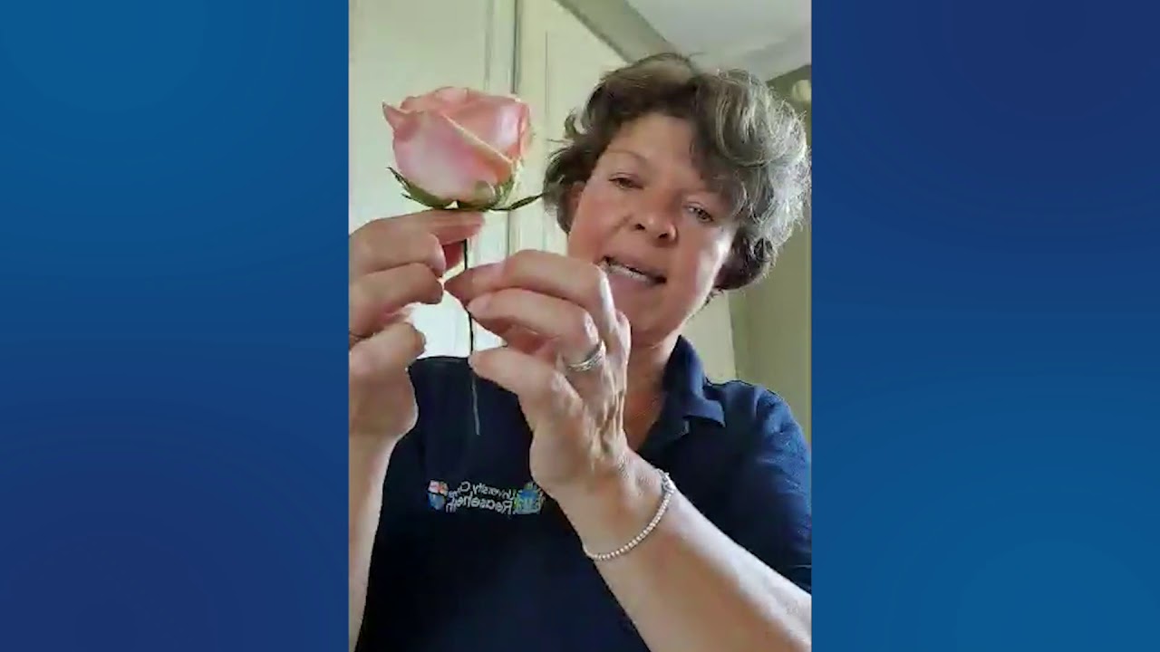 Reaseheath Masterclasses: How to create a floral buttonhole - YouTube
