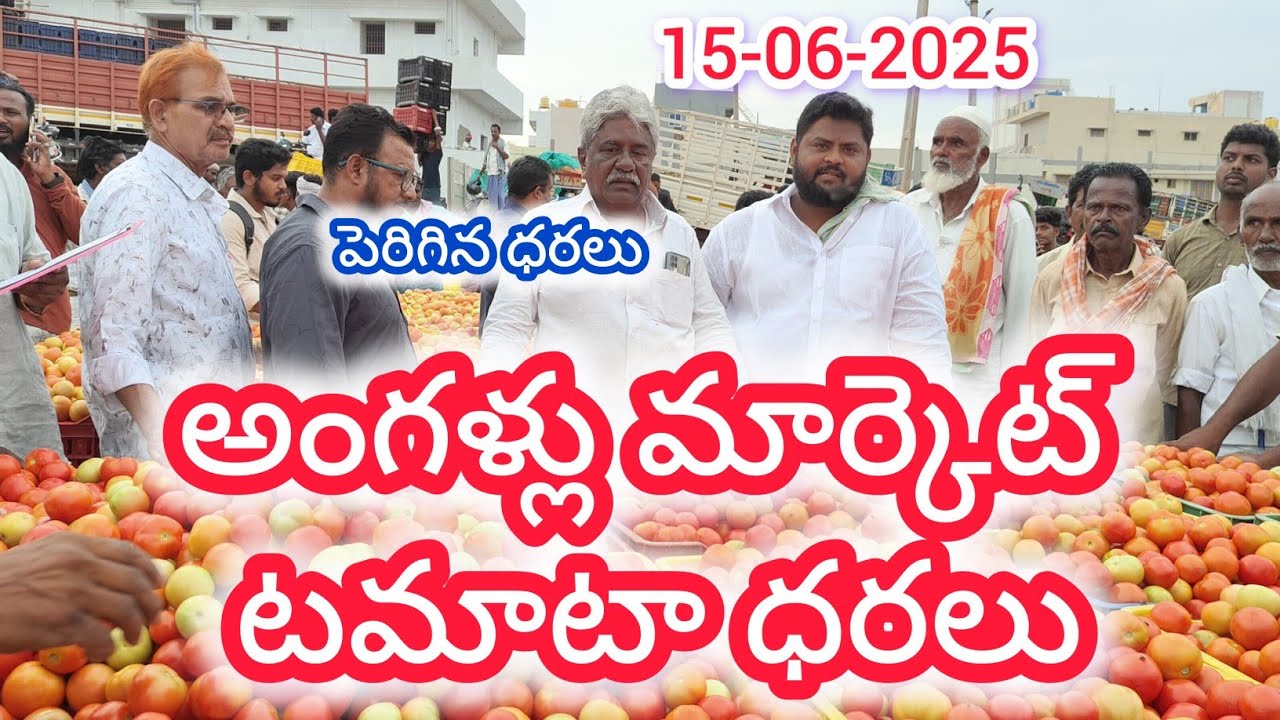 15-06-2025 angallu market tomato price #angallu tomato market rate ...