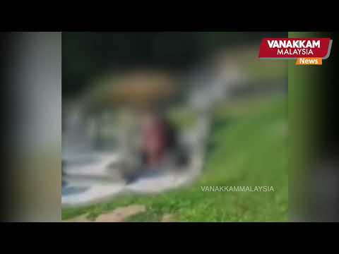 Indecent act by couple at Chinese cemetery sparks outrage; police launch probe