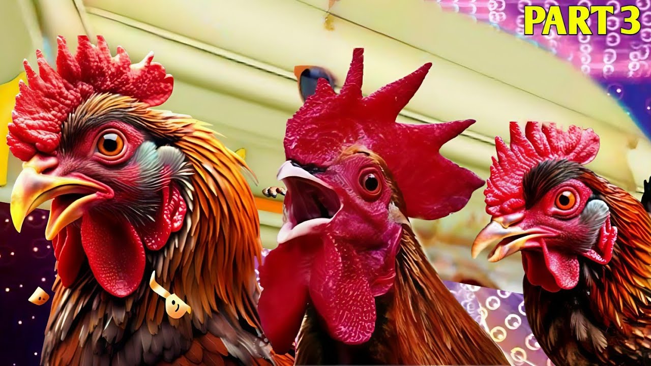 ROOSTERS SONG - Coffin Dance Song Cover New Remix 2025 | Part 3 ...