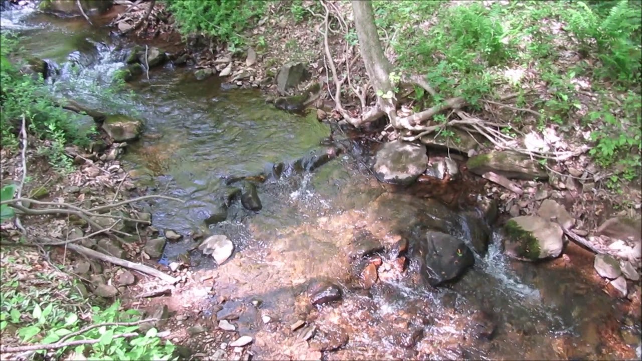 On the Whippany River (North Branch), New Jersey, May 17, 2020 - YouTube