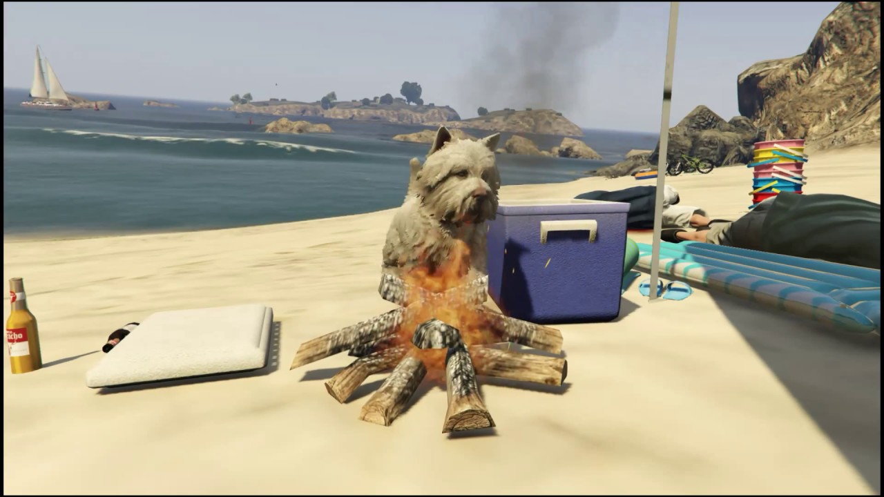 GTA V PC: Poor Humans - YouTube