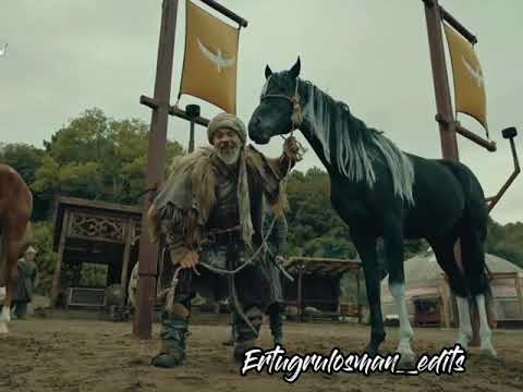 Osman bey new horse | Karayel death 😢 | kurulus Osman | #shorts