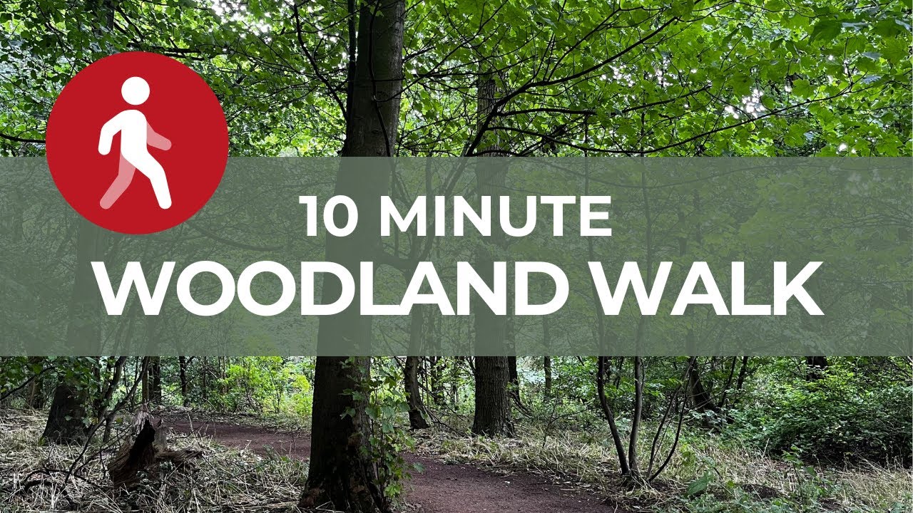 Peaceful Woodland Walk: 10 Minute Relaxation - YouTube