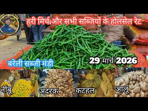 Bareilly sabji mandi 29 March 2026#vegitablemarket #vlog #sabjimandi #bareilly #vegitablemarket 