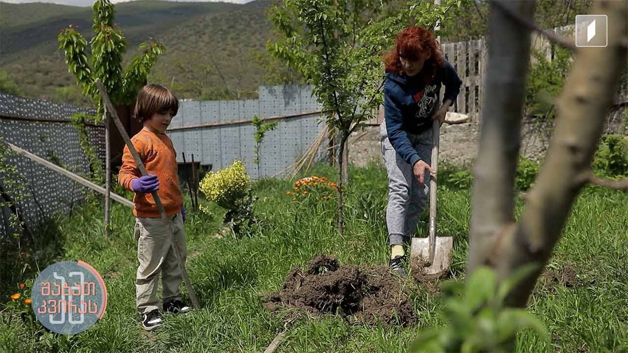 ამშაბათკვირას როგორ დავამზადოთ კომპოსტი და გამოვიყენოთ მცენარეების