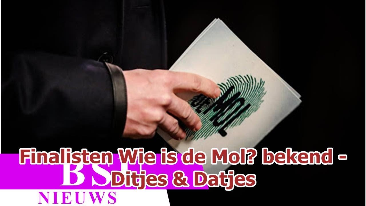 Finalisten Wie Is De Mol Bekend Ditjes And Datjes Youtube