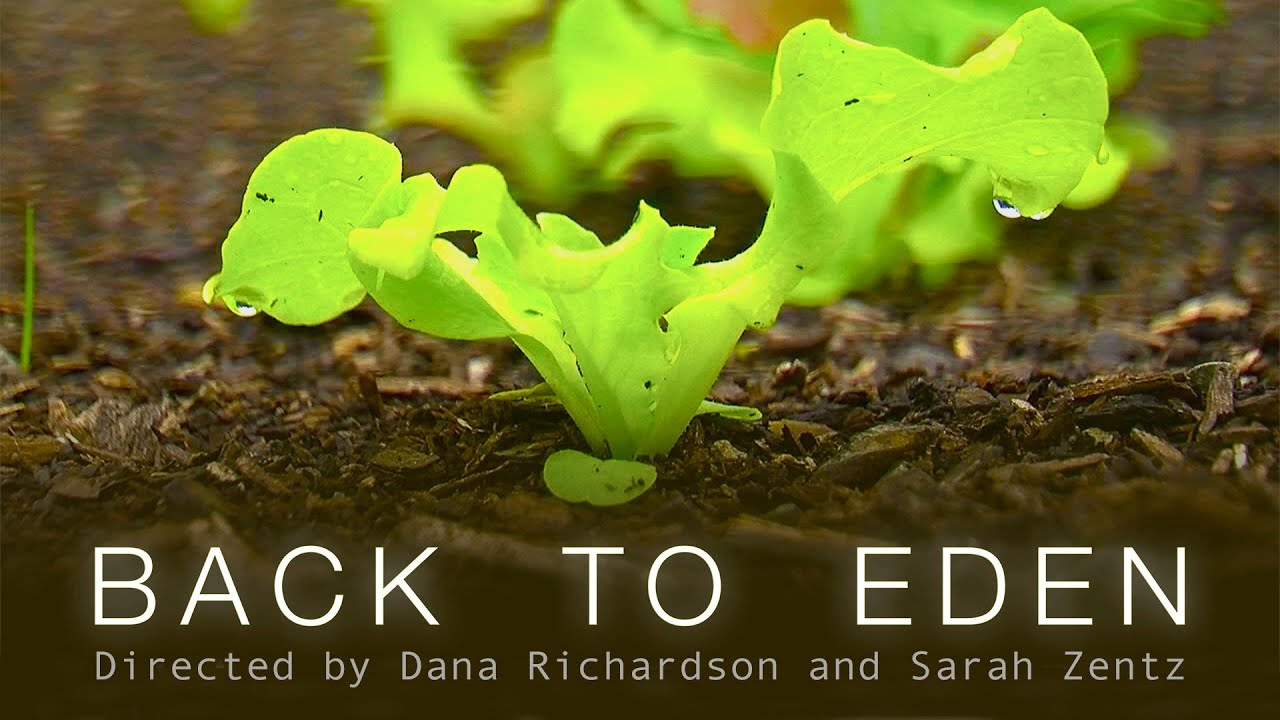 Back To Eden - Trailer - YouTube