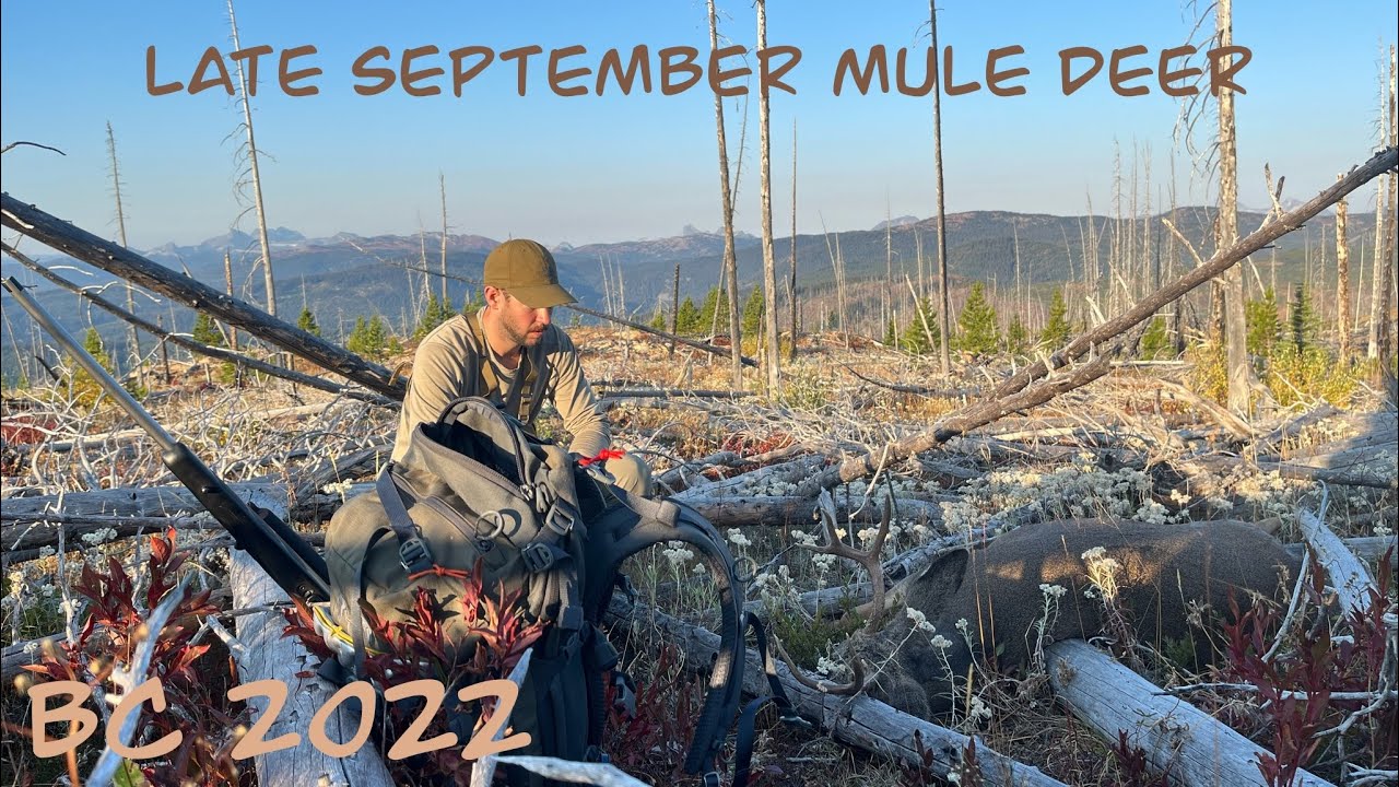 Late September Mule Deer Hunt 2022 Part 2 - YouTube