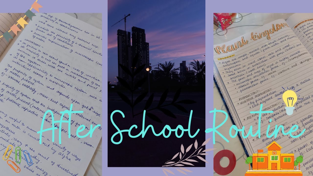 After School Routine | Productive study - YouTube