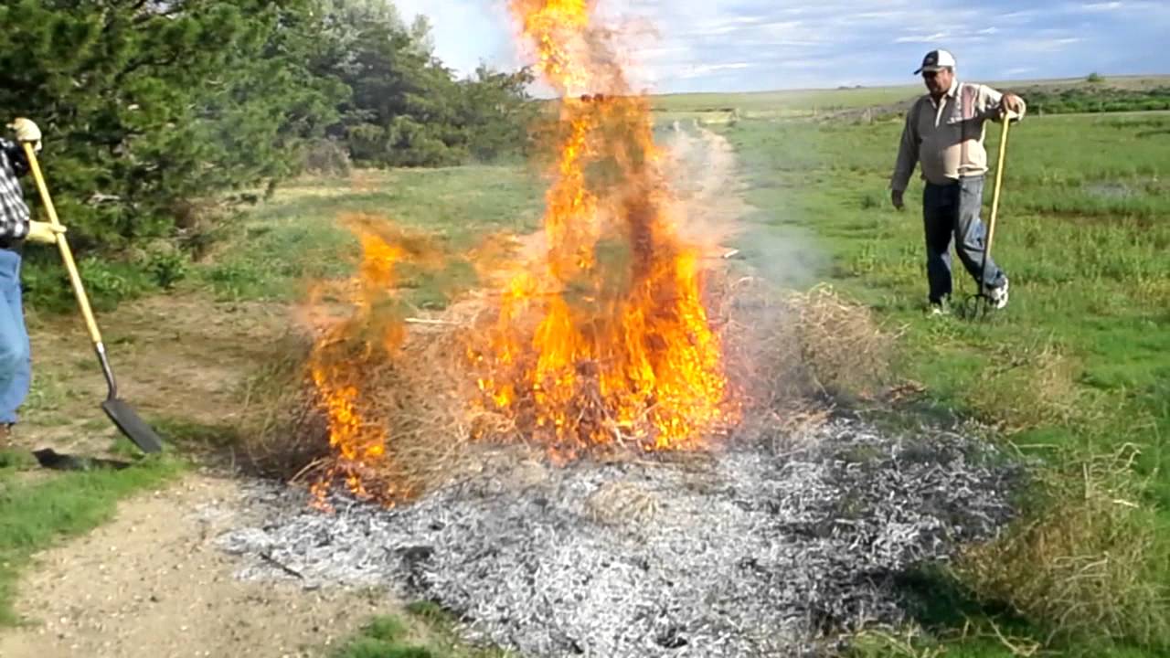 Burning more and more tumbleweeds - YouTube