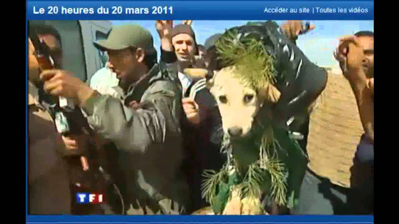 Un insurgé Libyen se venge sur un animal innocent.mp4.WMV - YouTube