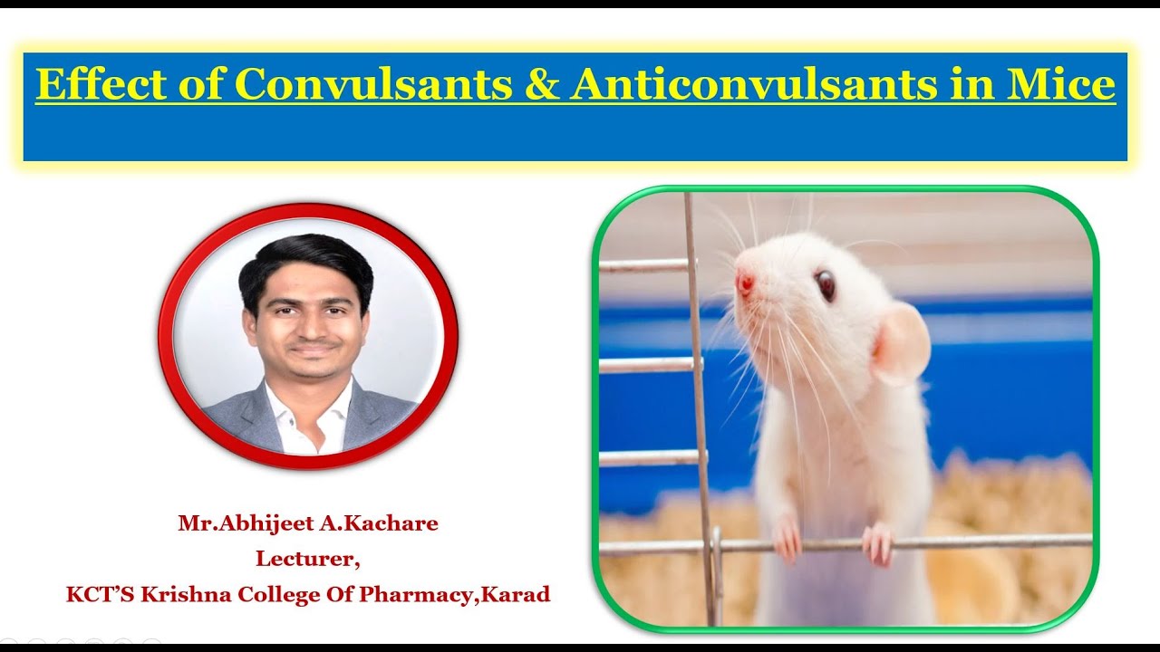Expt no 20 Effect of Convulsants & Anticonvulsants in Mice - YouTube