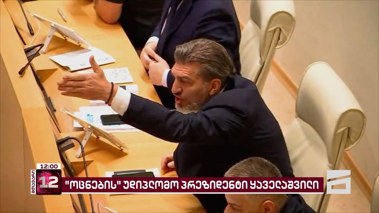 ოცნების უდიპლომო პრეზიდენტი ვინ არის და რით დაგვამახსოვრა თავი მიხეილ