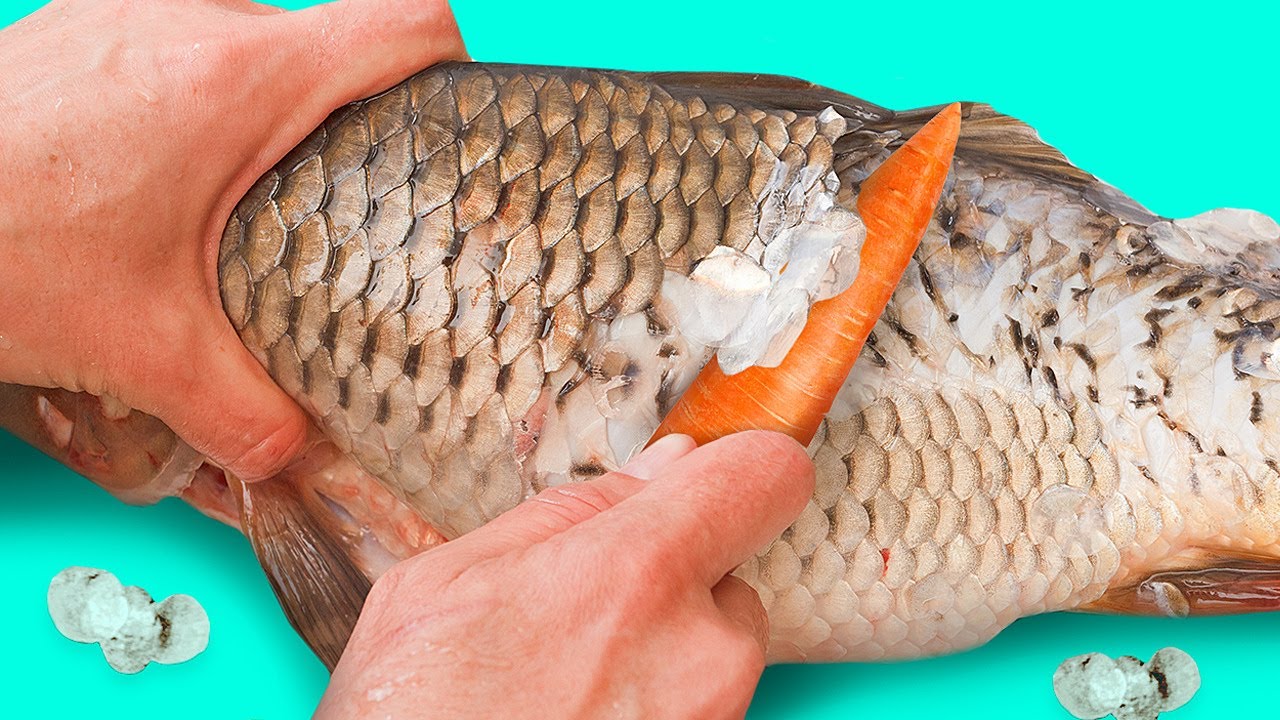 25+ WAYS TO TURN VEGETABLES AND FRUITS INTO SMTH BEAUTIFUL - YouTube