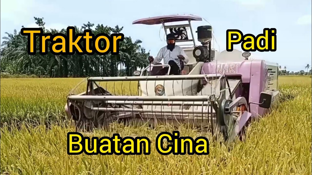 Indonesia " Panen Padi "menggunakan Traktor Modern Buatan Cina. - YouTube