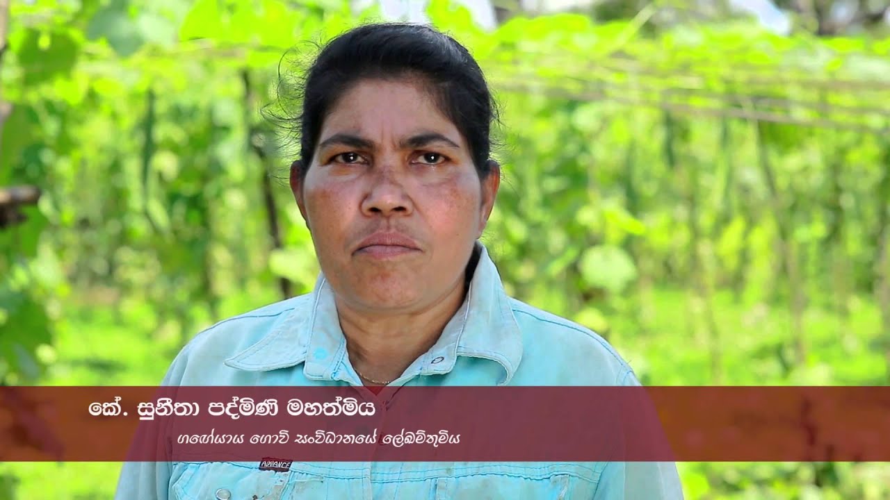 Saru Bima : The Story - YouTube