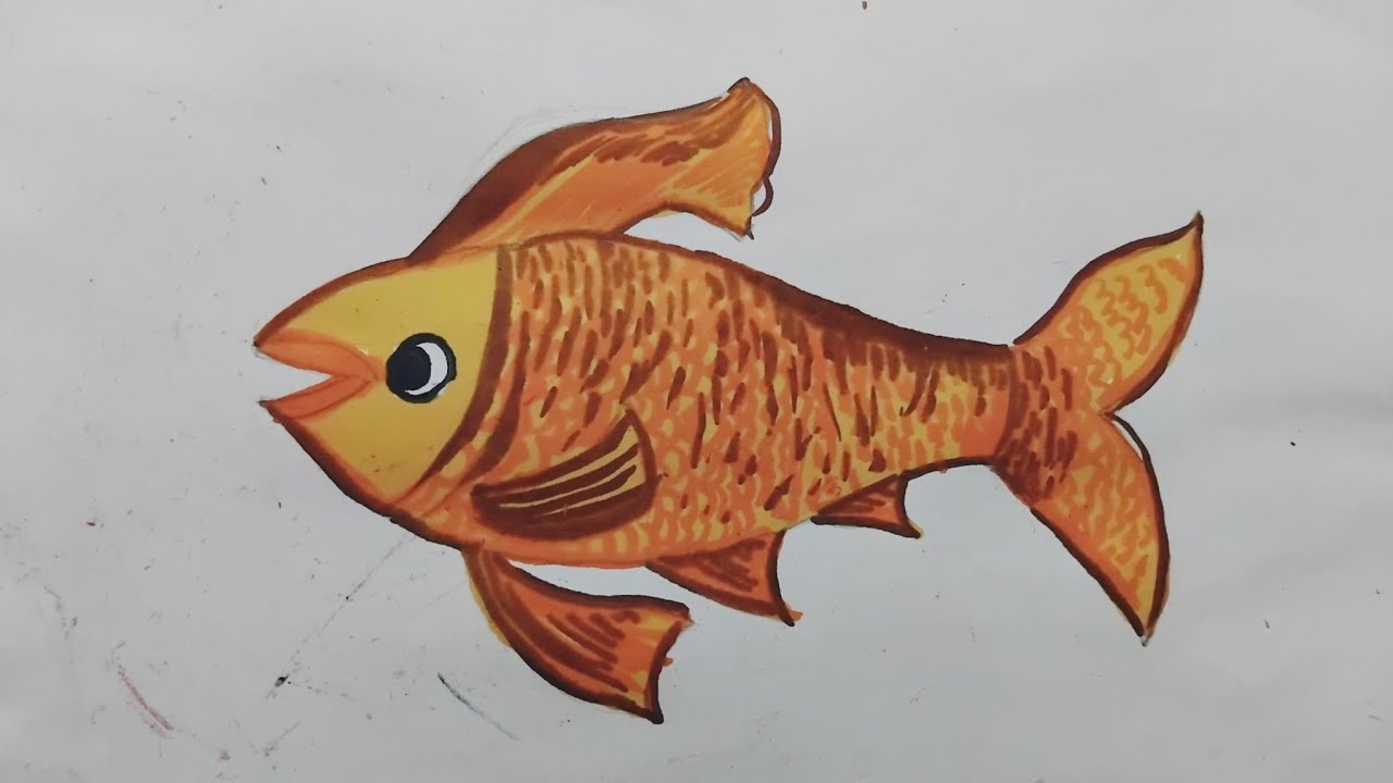 Fish drawing /মাছ আঁকা /How to draw fish step by step/Easy fish drawing ...