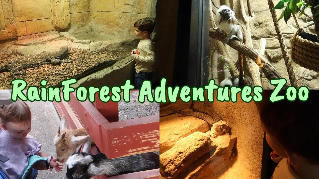 RainForest Adventures Zoo, Sevierville Tennessee- Snakes, Axolotls ...