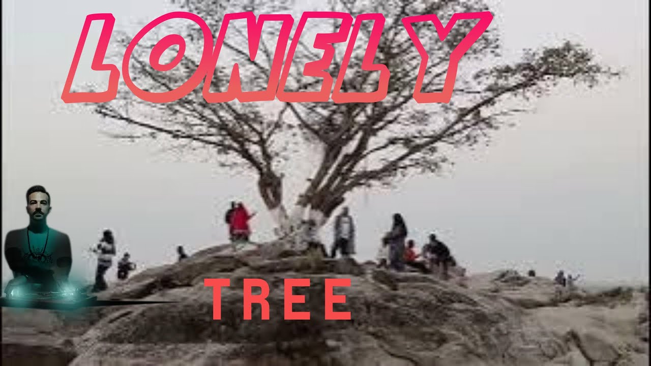 The lonely tree || SILENT VLOG #silentvlog #assam - YouTube