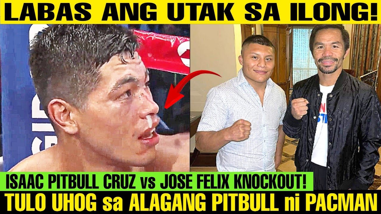 🥊LABAS ang UTAK sa ILONG! PITBULL ni PACMAN NAGWALA! TULO ang UHOG sa ...