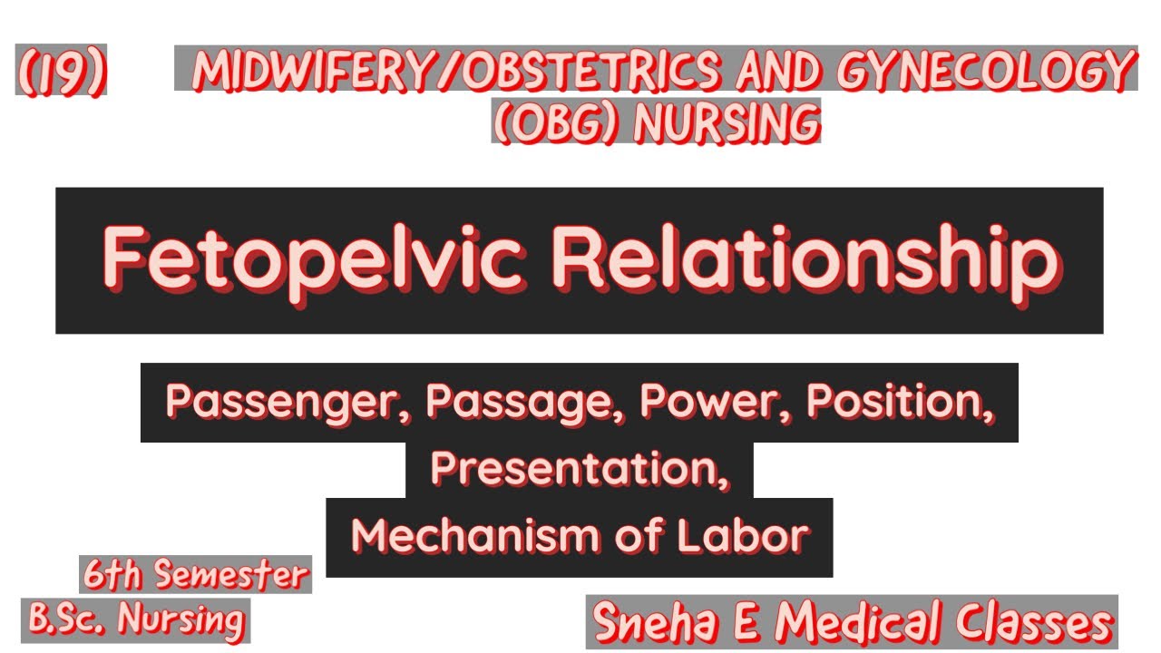 Fetopelvic Relationship !! No !! OBG !! - YouTube