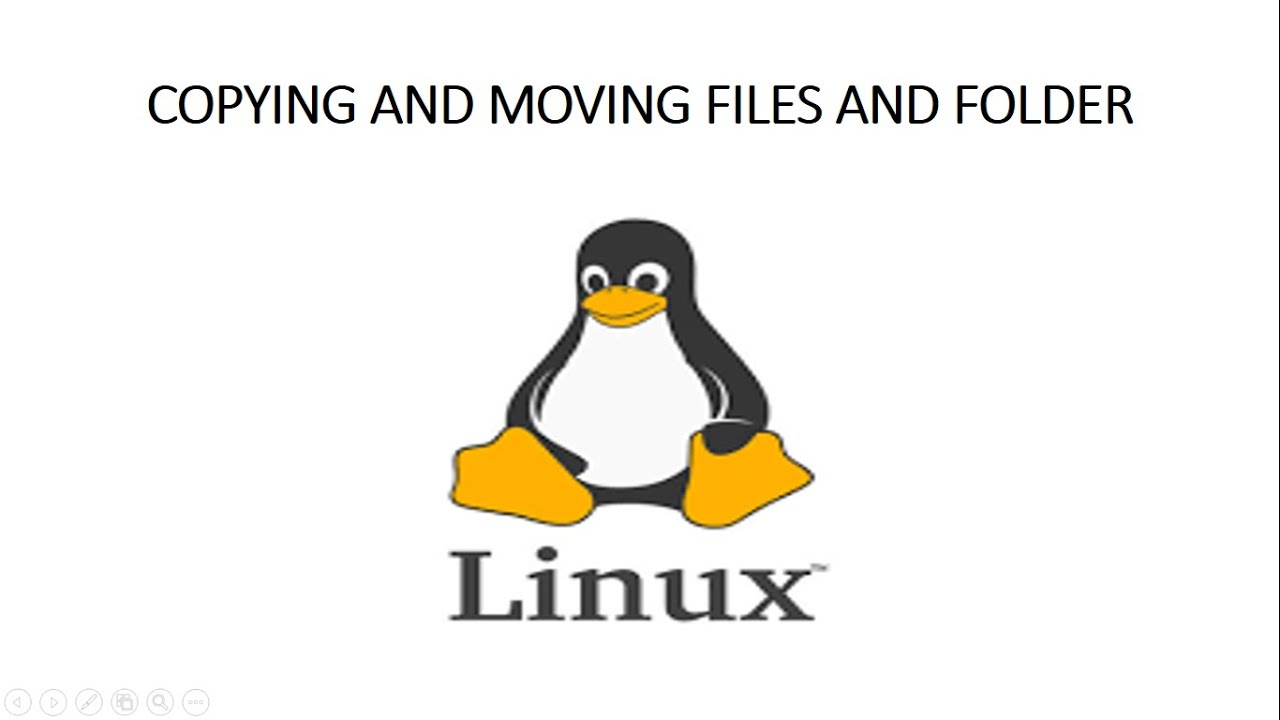 Copying and moving files and folder - YouTube