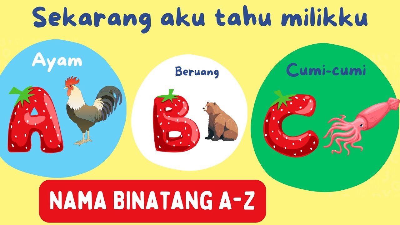 Mengenal Nama Binatang dari Huruf Abjad A Z - YouTube