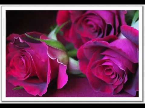 Emrah Haksever, Antepli Gelin Elektro bağlama 2009