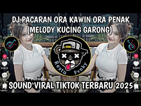 DJ PACARAN ORA KAWIN ORA PENAK - MELODY KUCING GARONG VIRAL TIKTOK TERBARU🔥