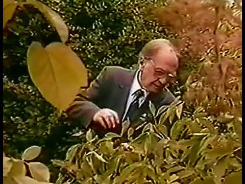 Dr. Israel Brekhman -- The Father of Adaptogens - YouTube