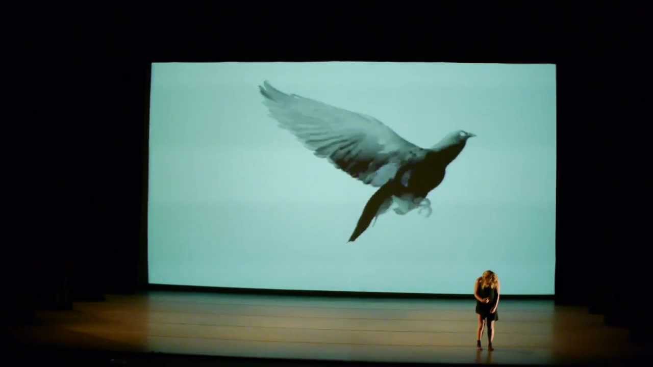 David Rousseve/REALITY "Stardust" Trailer (9/13) - YouTube