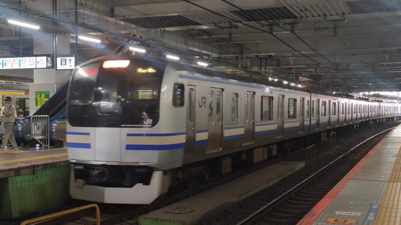【4K】E217系・E231系0番台(B編成)発着 - YouTube