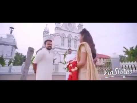 WhatsApp Status videos(18)