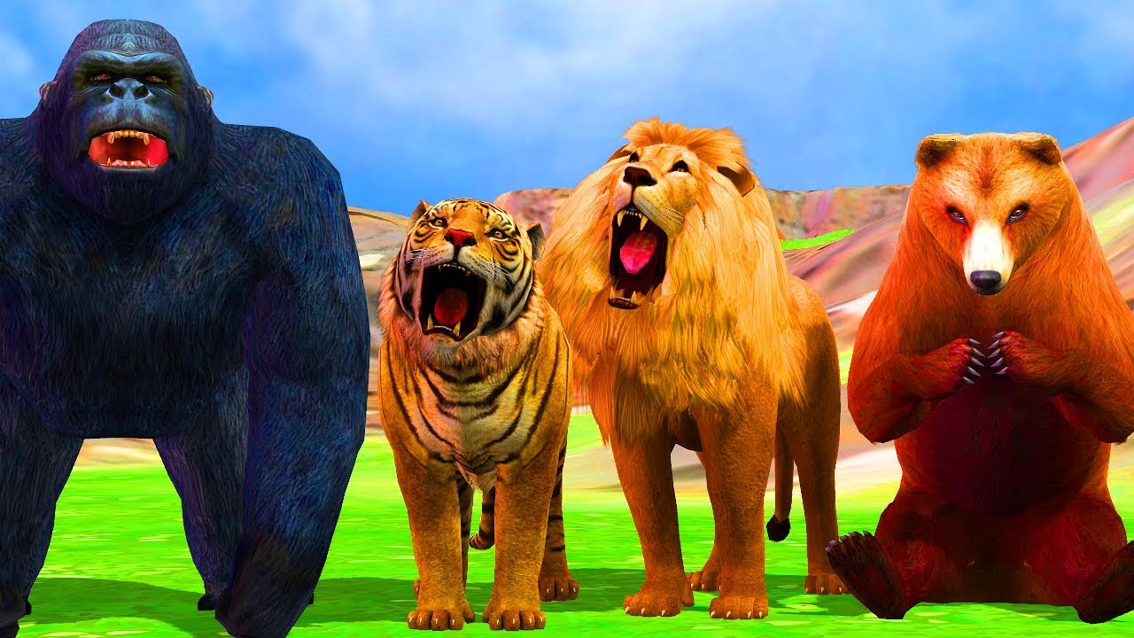 Animals Play in Outdoor Play Ground with watermelon | Gorilla Bear ...