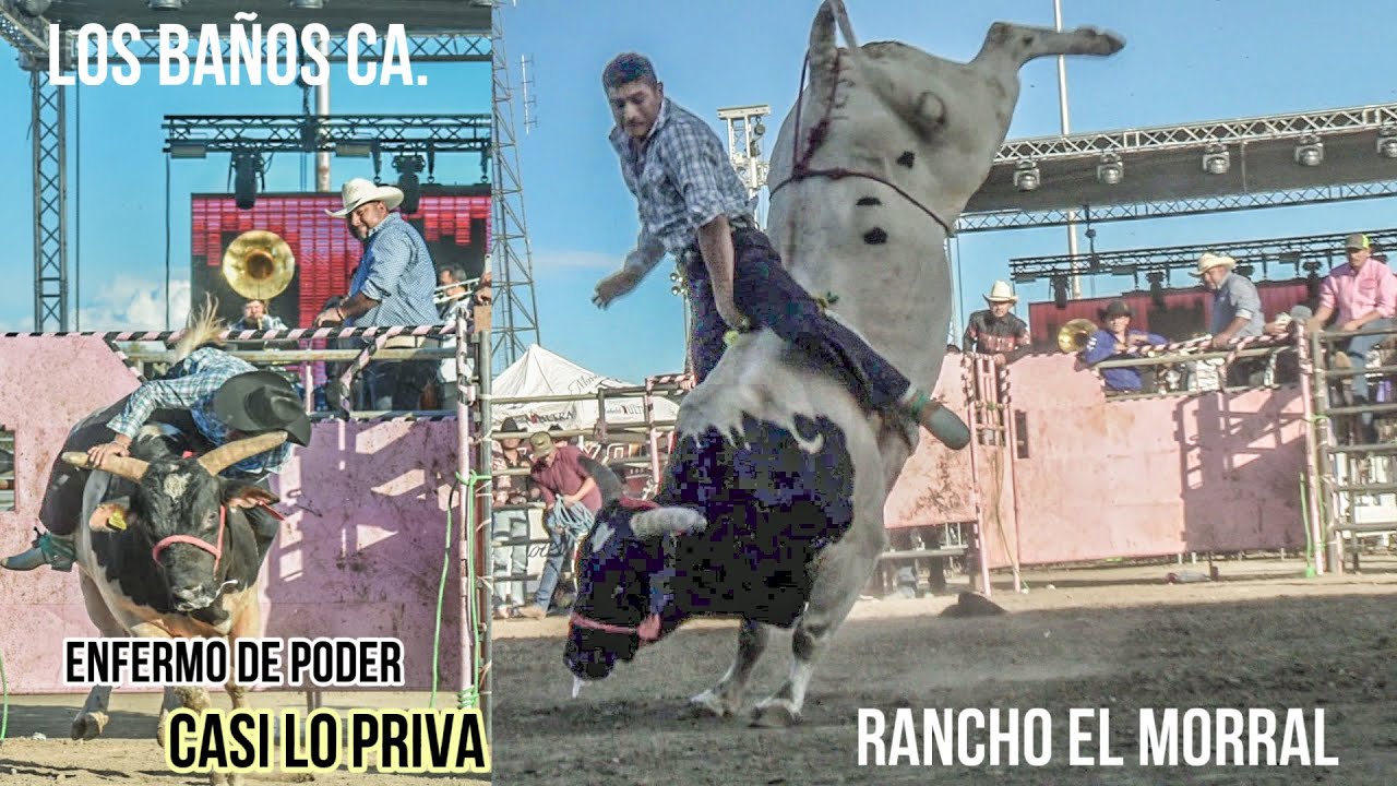 !!ENFERMO DE PODER CASI PRIVA SU JINETE¡¡RANCHO EL MORRAL EN LOS BAÑOS ...