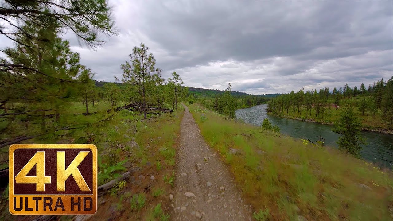 4K Virtual Hike with Calming Music | Walking in the Woods (3 hours ...