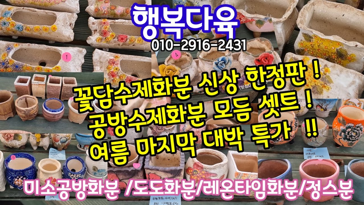 다육이 화분 쇼핑 🛍 꽃담수제화분 신상 한정판🌸 유명세 화분 모듬셋트 파격가로 쏩니다 🎉베란다 다육이 사이즈로 딱 행복다육