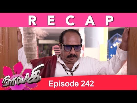 RECAP : Naayagi Episode 242, 01/12/18