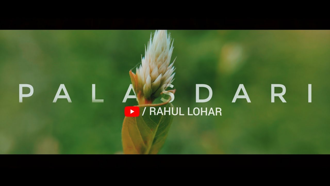 Palasdari Waterfall 4K | Cinematic video | Rahul lohar | #cinematic # ...