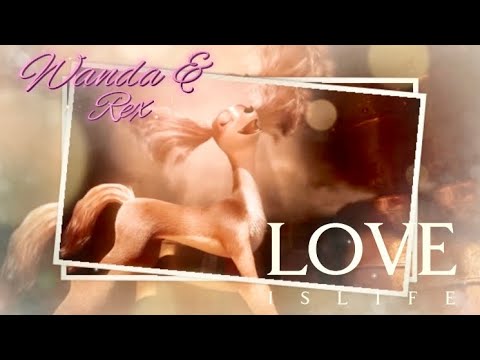 The Queen’s Corgi Best Clips -Wanda & Rex - YouTube