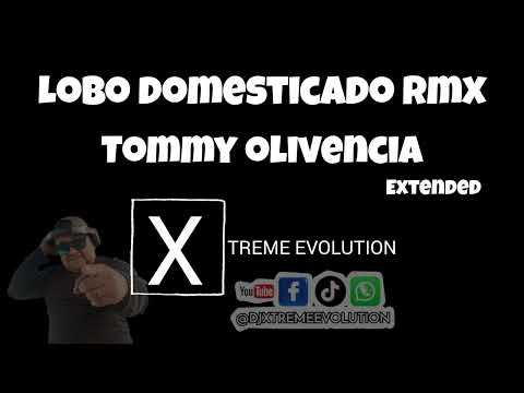 Tommy olivencia - lobo domesticado rmx extended xedj