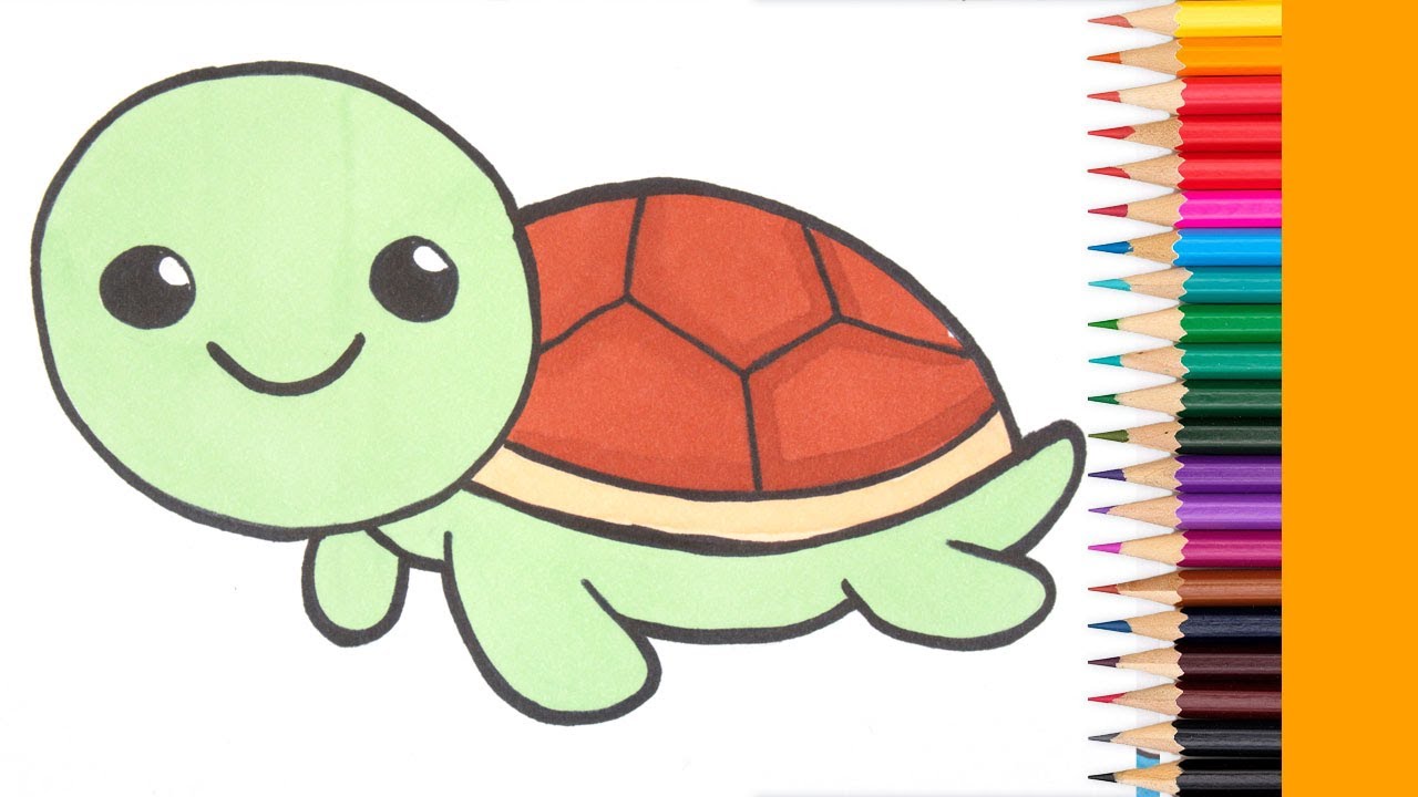 Hogyan rajzoljunk teknőst?🐢| Rajzoktatás ovisoknak - YouTube