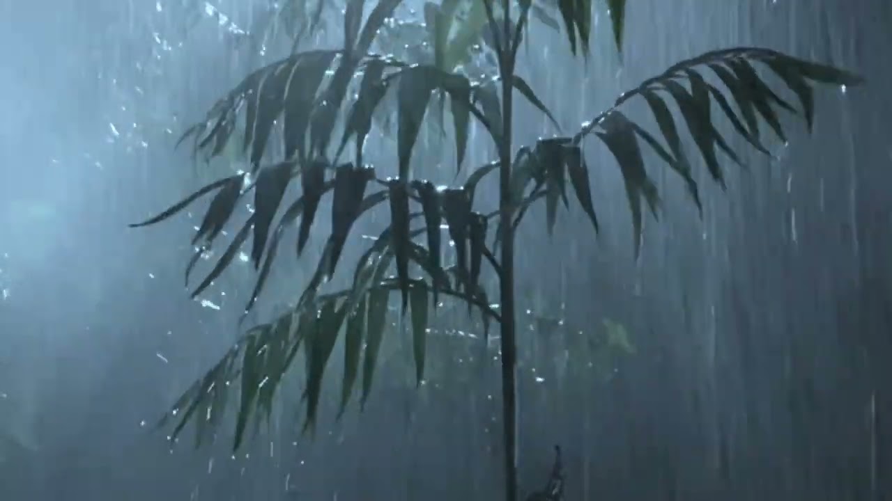 Sleep Instantly with Heavy Rainstorm & Powerful Thunder Sounds Covering ...