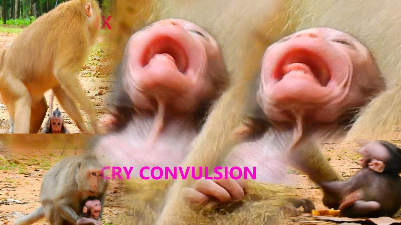 YOU WILL BROKEN HEART SEEN LIFE OF BABY JINX DEEP SAD SUPER CRY RUN TO ...