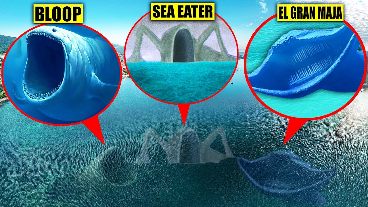 Drone Catches GIANT SEA EATER, GIANT EL GRAN MAJA & GIANT BLOOP IN REAL ...